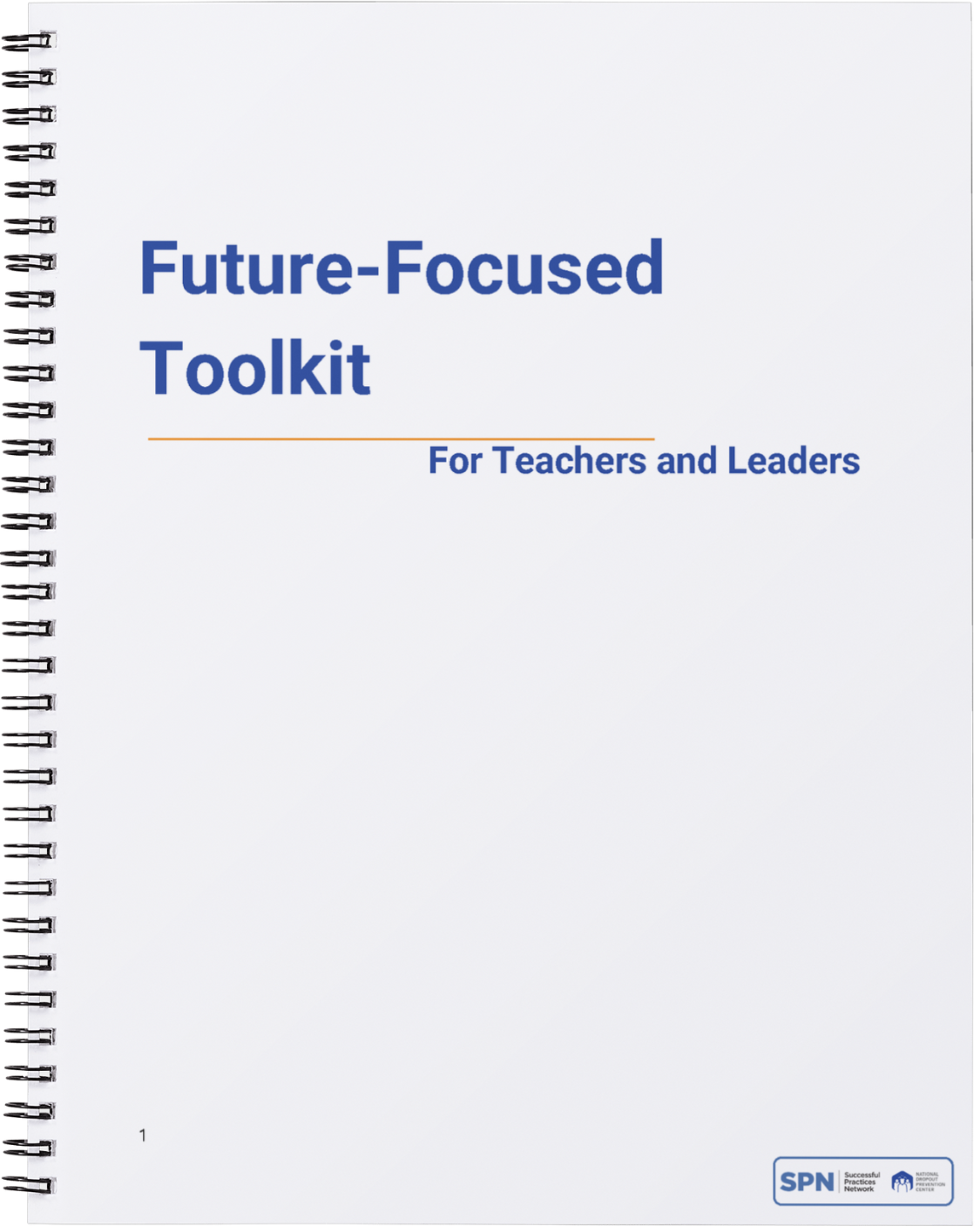 Future-Focused Success – Successful Practices Network